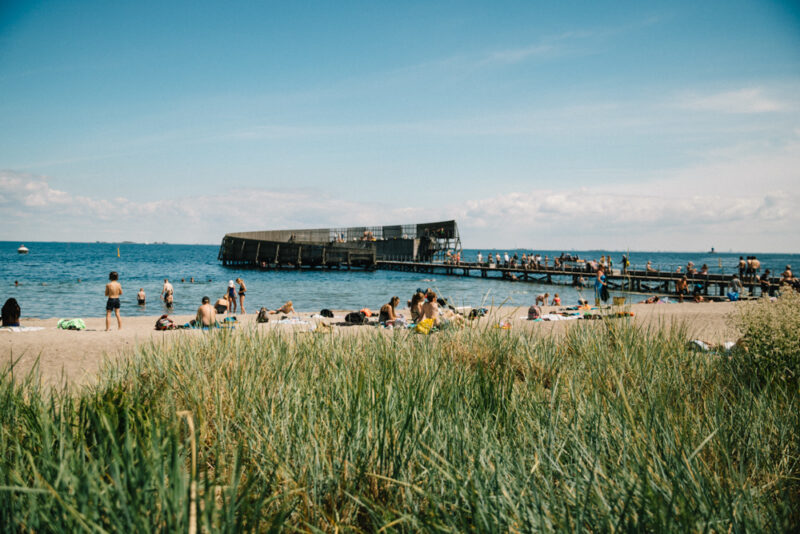 14 Very Best Copenhagen Harbor Baths For Swims & Quick Cold Plunges