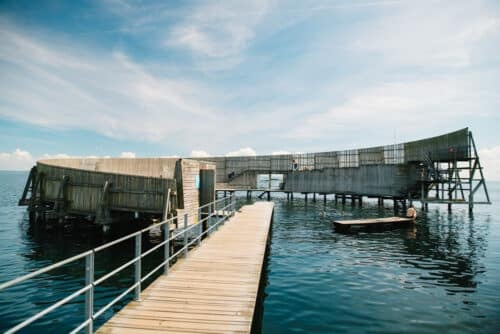 14 Very Best Copenhagen Harbor Baths For Swims & Quick Cold Plunges