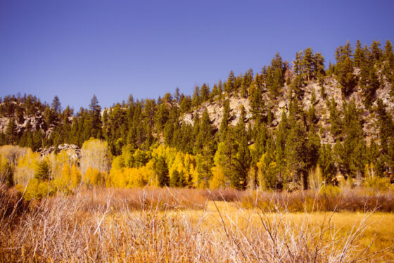 14 Spots To Find Stunning Lake Tahoe & Hope Valley Fall Colors This Autumn