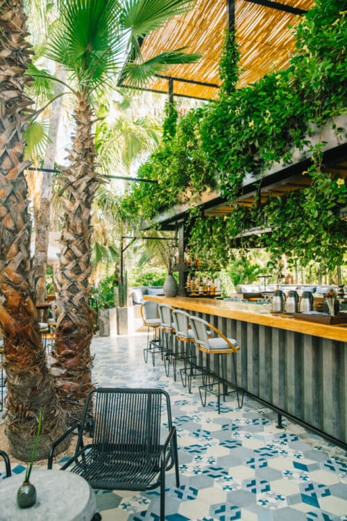 Sleep Above The Palm Trees: Inside ACRE Resort Cabo Treehouse Hotel ...