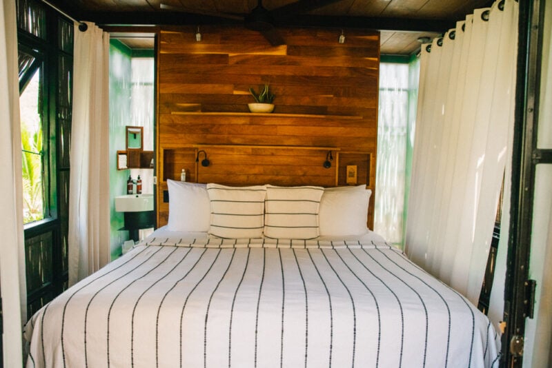 Sleep Above The Palm Trees: Inside ACRE Resort Cabo Treehouse Hotel ...