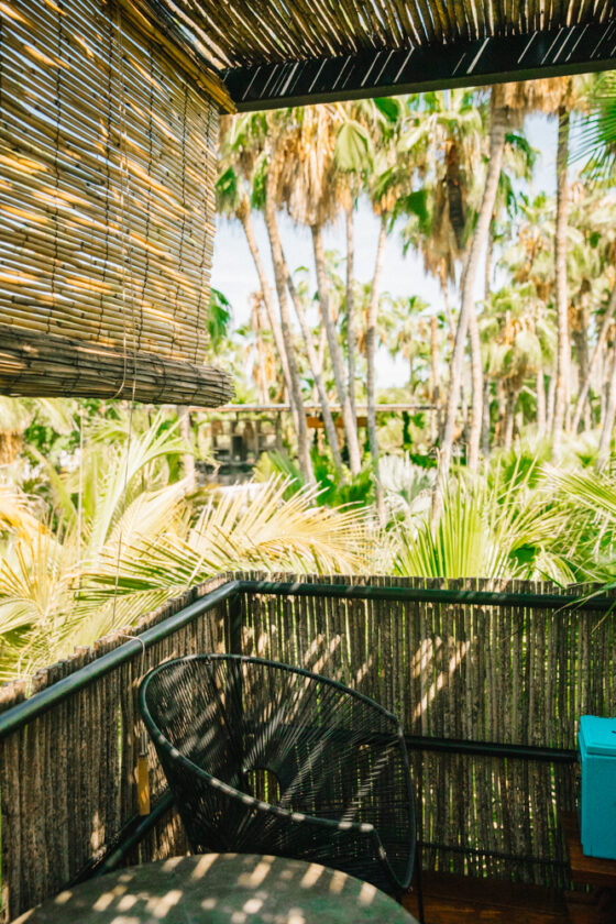Sleep Above The Palm Trees: Inside ACRE Resort Cabo Treehouse Hotel ...