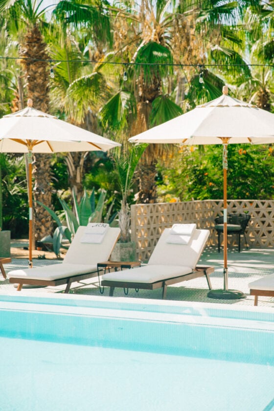 Sleep Above The Palm Trees: Inside ACRE Resort Cabo Treehouse Hotel ...