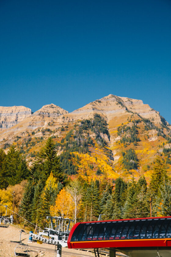 Utah Fall Colors: 14 Insanely Beautiful Places To Find Fall Foliage