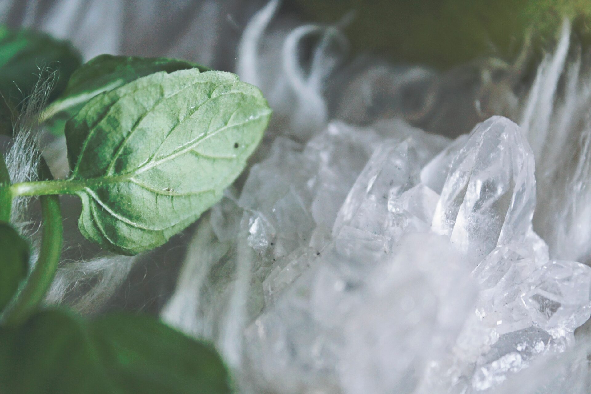 What to Do on a New Moon: 10+ Easy New Moon Rituals