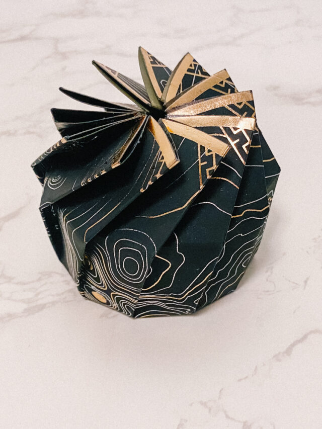 Viori Shampoo Review: Is Viori Legit? I Tested Them Out For you