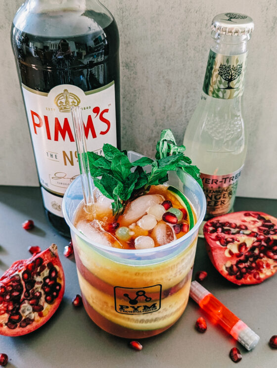 Pimms Cup Recipe With Gin & Pomegrante (Inspired by Ant-Man)