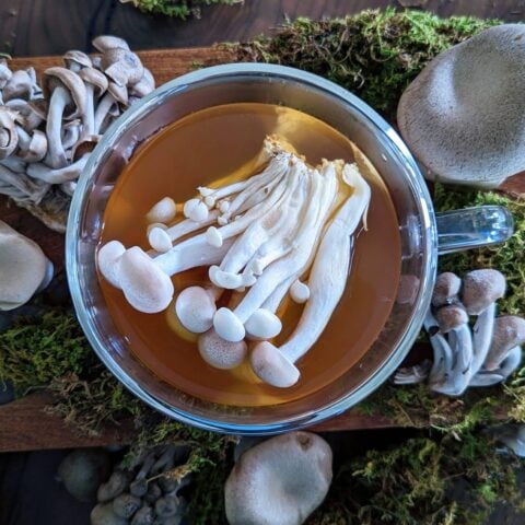Spore Me Another Mushroom Mocktail