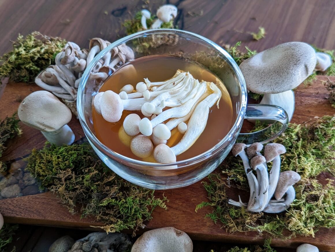 Spore Me Another Mushroom Mocktail