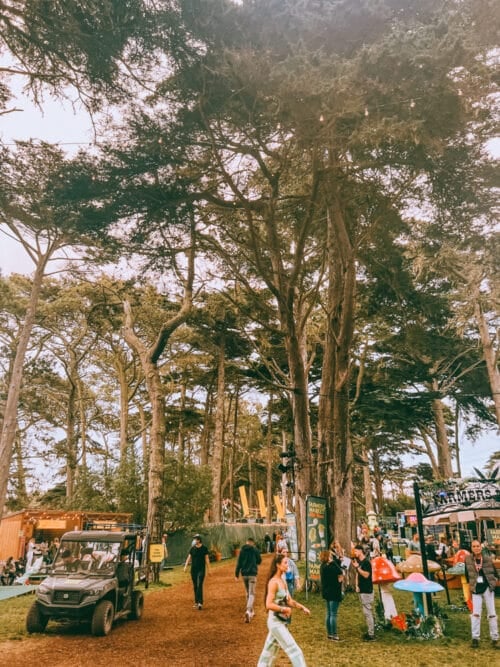 16 Essential Outside Lands Tips To Survive The Weekend (From An SF Local)