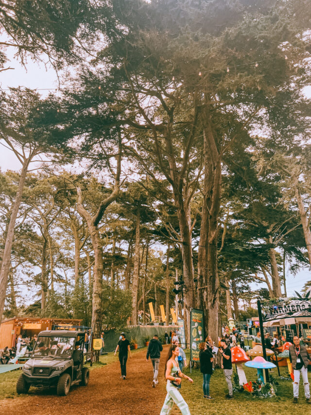 16 Essential Outside Lands Tips To Survive The Weekend (From An SF Local)