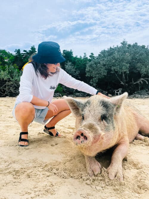 Exactly How To Swim With Exuma Island Pigs In The Bahamas