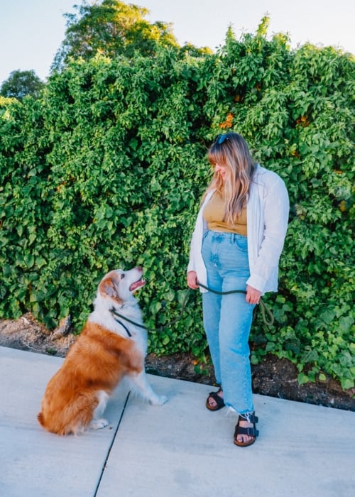 Honest Curvy Girl's Quince Clothing Review: How This Brand Fits