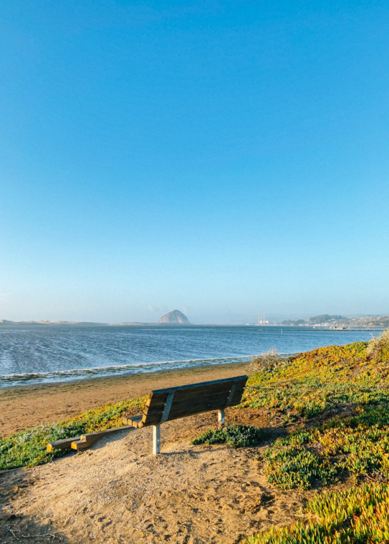 12 Things To Do in Los Osos California, A California Hidden Gem!