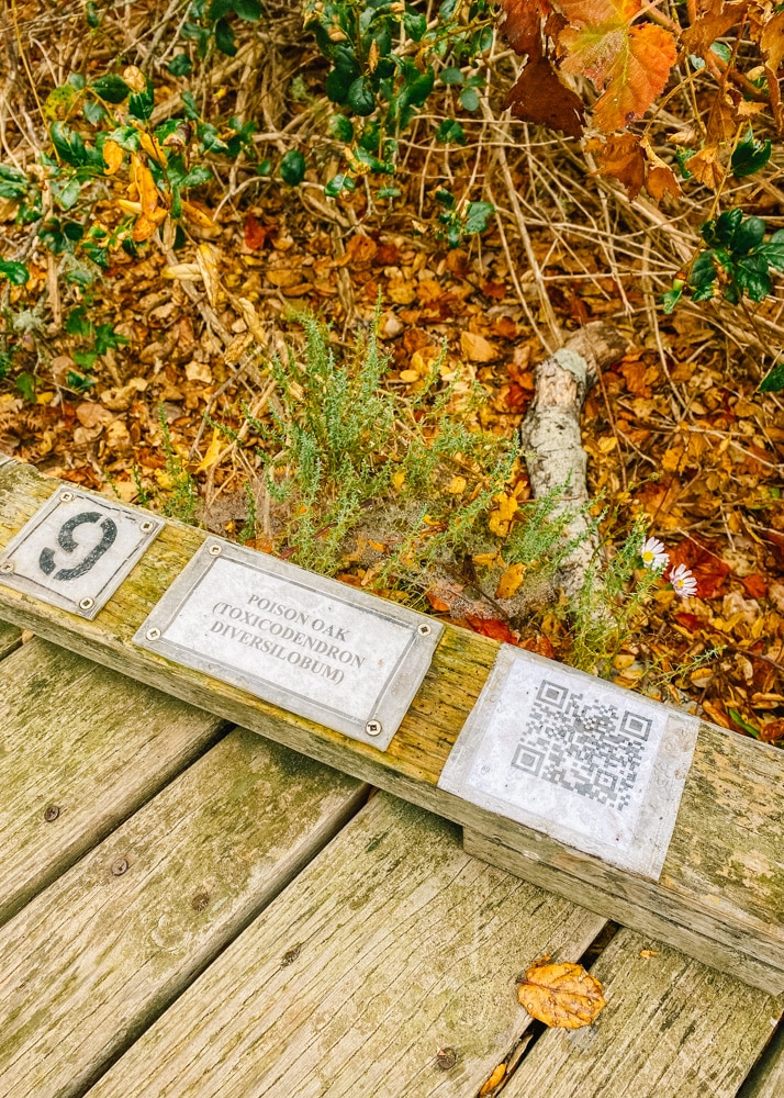 12 Things To Do in Los Osos California, A California Hidden Gem!