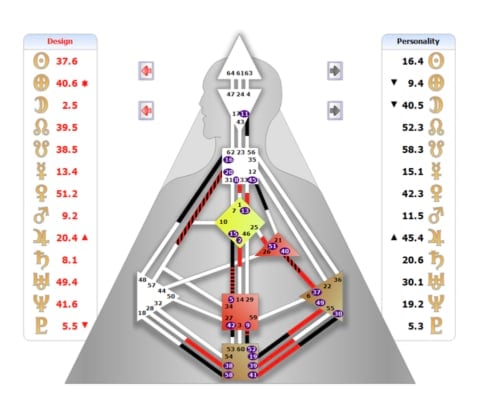 How To Read Human Design Chart: The Ultimate Intro to Human Design Types