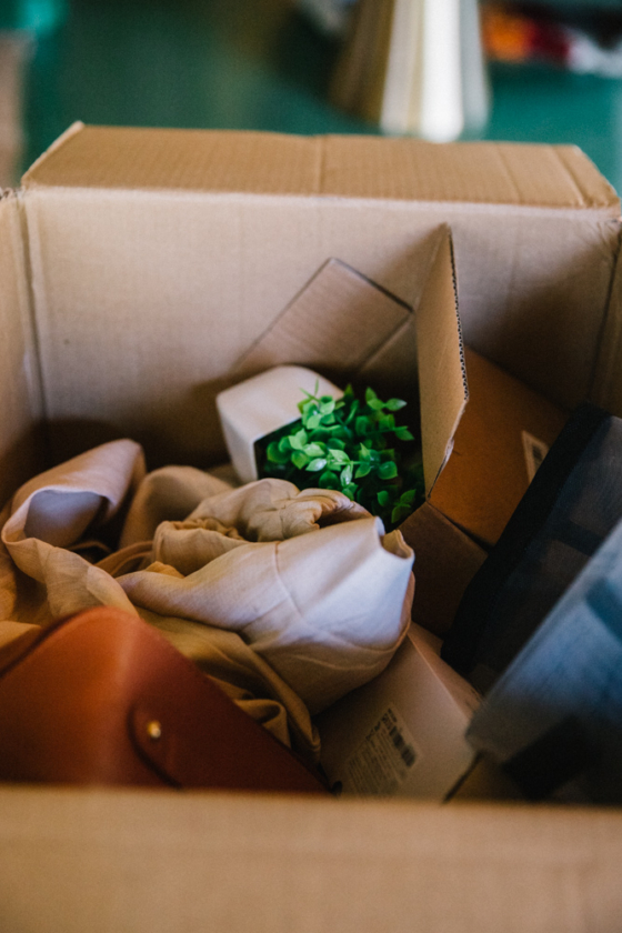 Temu Review: I Spent $170 So You Don't Have To (Honest Review!)