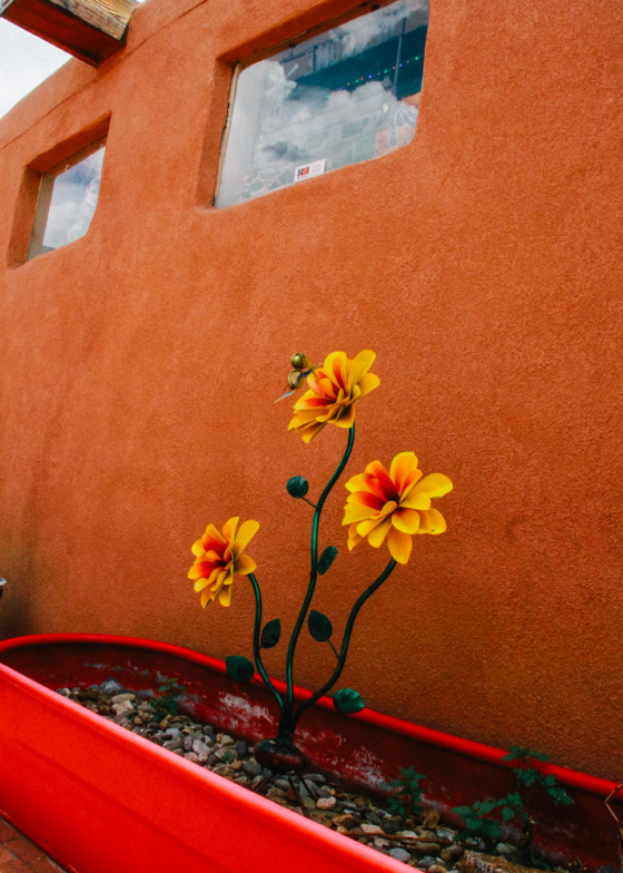 26 Cool Albuquerque Instagrammable Places You Can't Miss