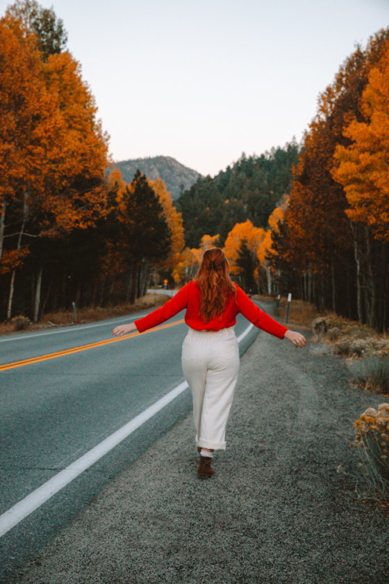 50+ Unique Fall Activities & Things To Do For Spooky Season