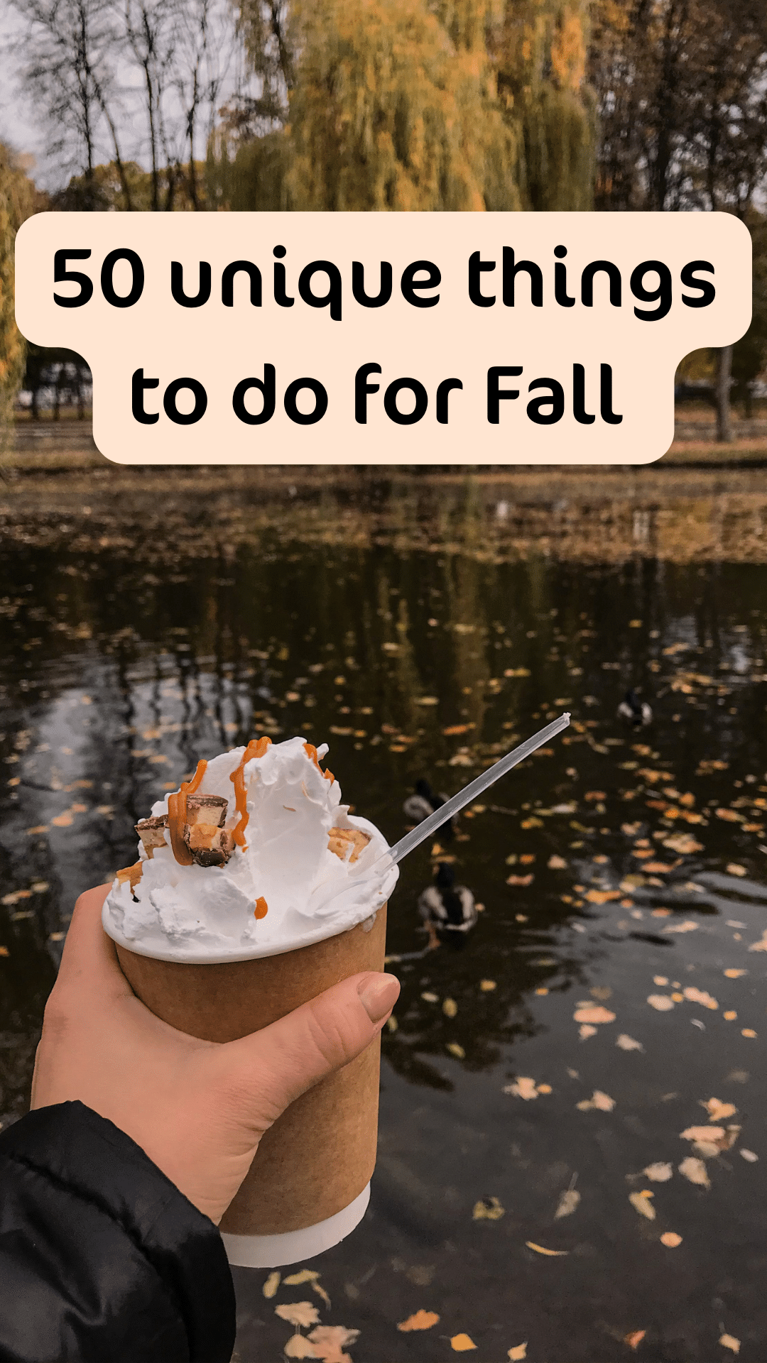 50+ Unique Fall Activities & Things To Do For Spooky Season