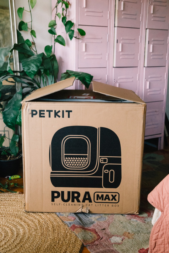 Honest Petkit Litter Box Review: Pros & Cons of After 30 Days Of Use