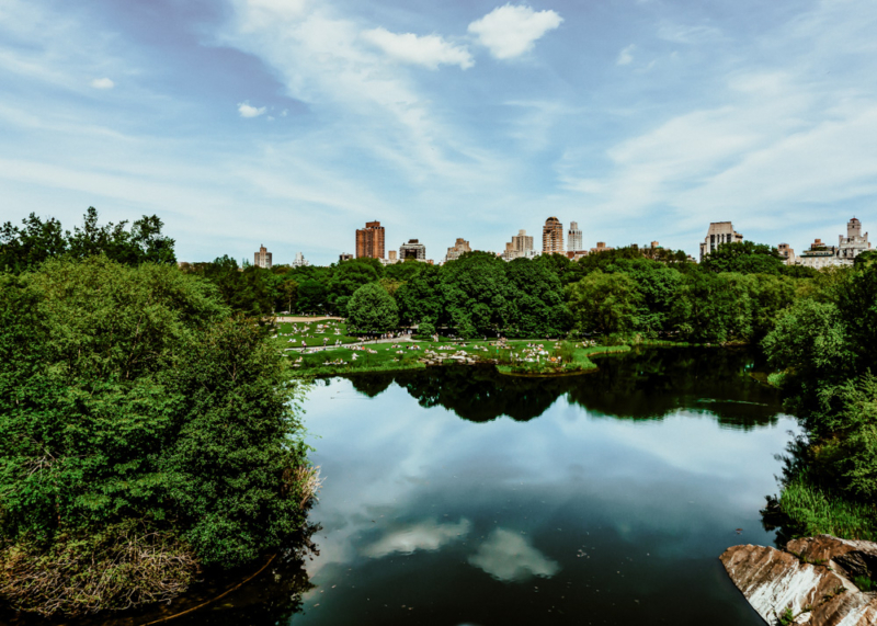 I Found All The Elf Movie Filming Locations In NYC & It Was The Best ...