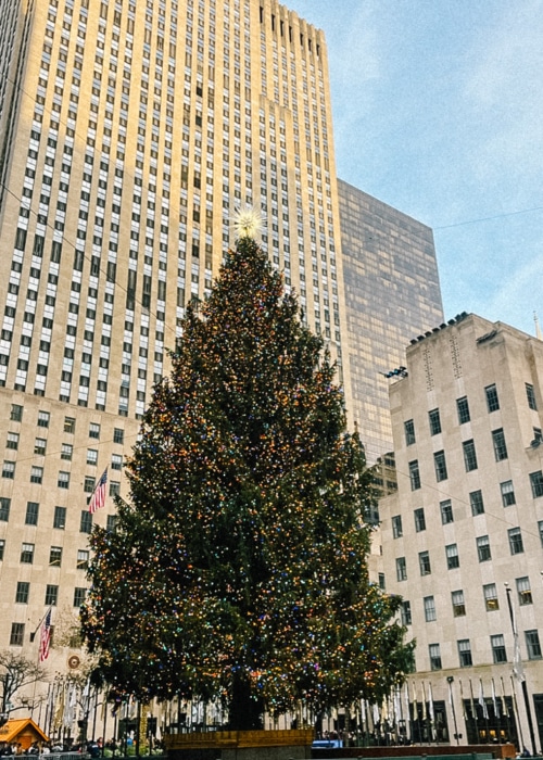 I Visited All The Home Alone 2 Filming Locations In NYC (Addresses ...