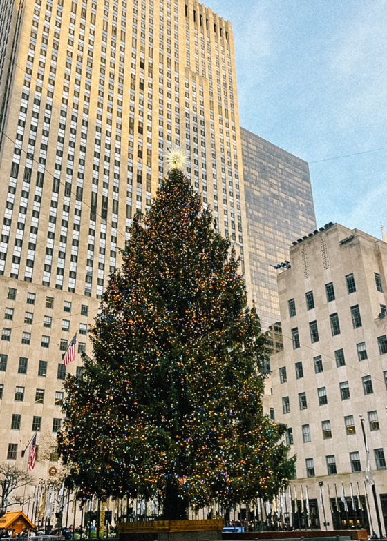 I Visited All The Home Alone 2 Filming Locations In NYC (Addresses ...