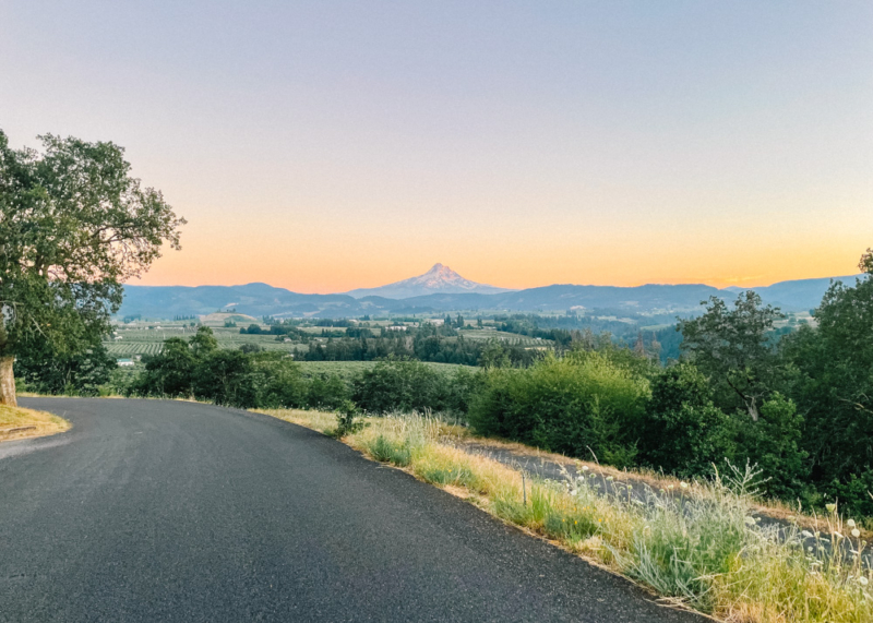 Adventure Awaits: 12 Unforgettable Hood River, Oregon Things to Do in