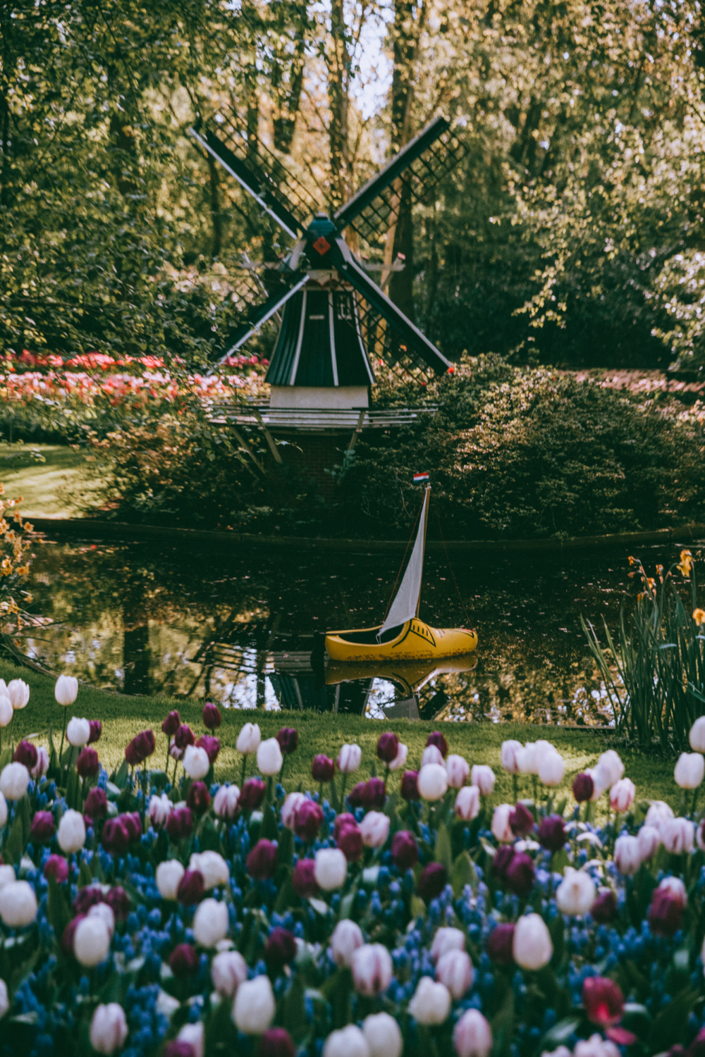 How To Visit Dutch Tulip Fields On A Day Trip From Amsterdam