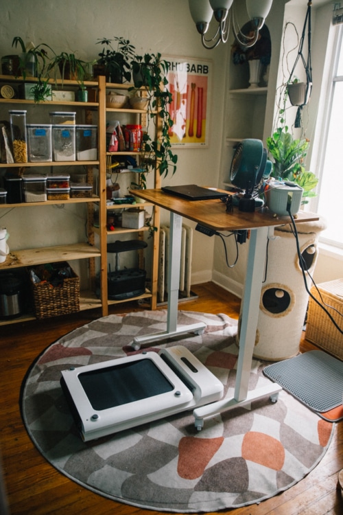 Sweat From Home: 18 Cozy Cardio Ideas To Transform Your Home Workouts