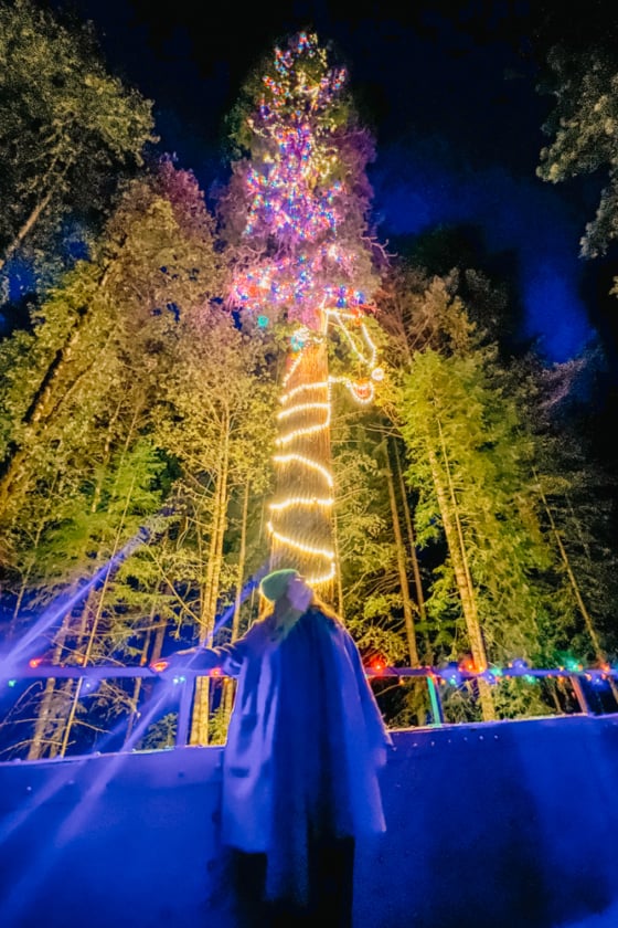 Hidden Gems of Mendocino: Glen Blair Bar and Christmas Tree Ride On The ...