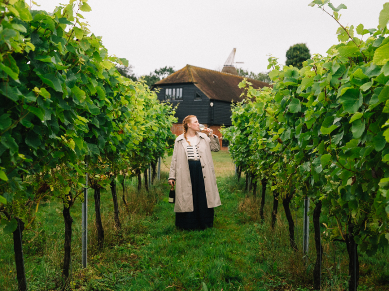 How I Passed WSET 2 Wine Exam With Distinction (Study Tips)