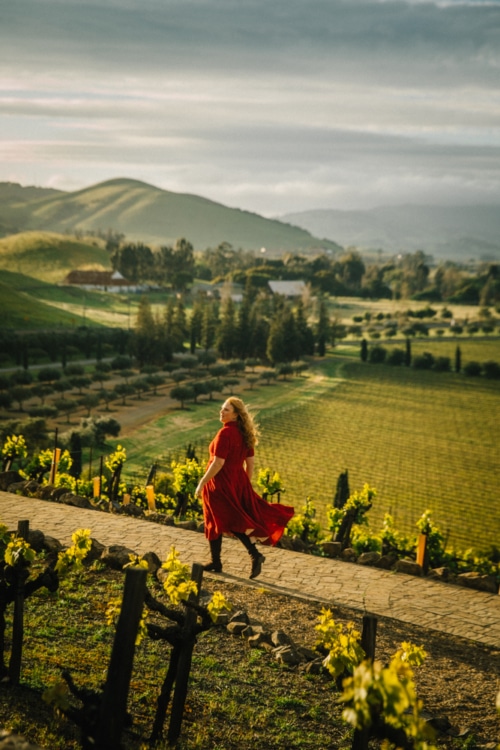 17 Best Wineries In Sonoma County Worth Your Time (A Local’s Guide ...