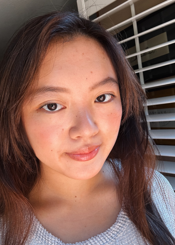 Cruelty-Free Glam on a Budget: Lilly Lashes Review