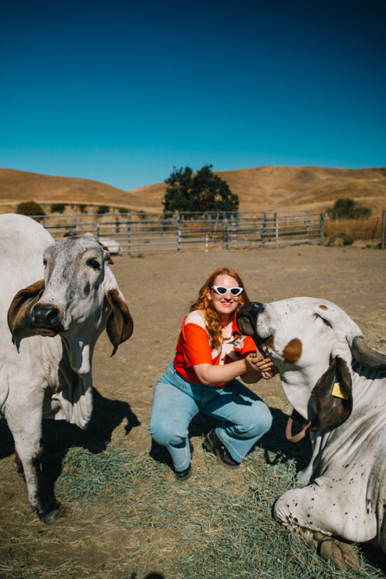 Discover Tri-Valley: 10 Hidden Gems For A Memorable Weekend In The East Bay