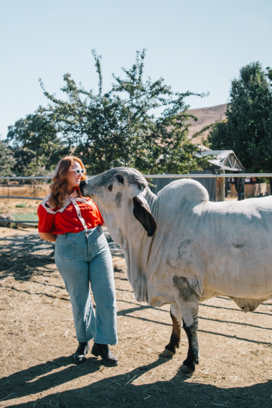 Discover Tri-Valley: 10 Hidden Gems For A Memorable Weekend In The East Bay