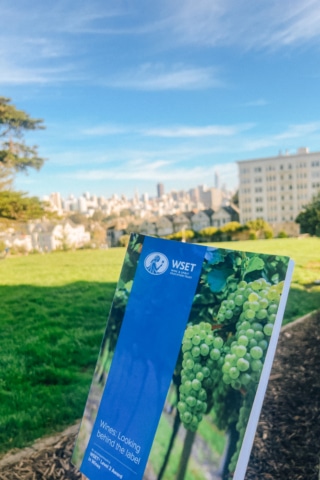 How I Passed WSET 2 Wine Exam With Distinction (Study Tips)