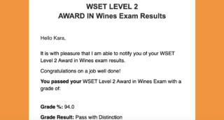 How I Passed WSET 2 Wine Exam With Distinction (Study Tips)