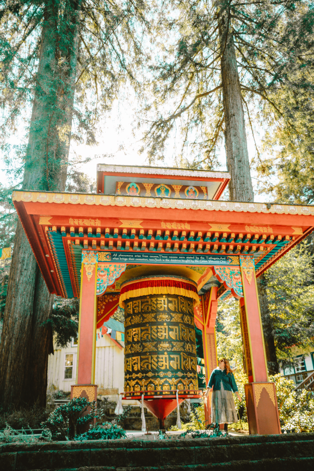 All The Hidden Gems In The Santa Cruz Mountains You'll Want To See This ...