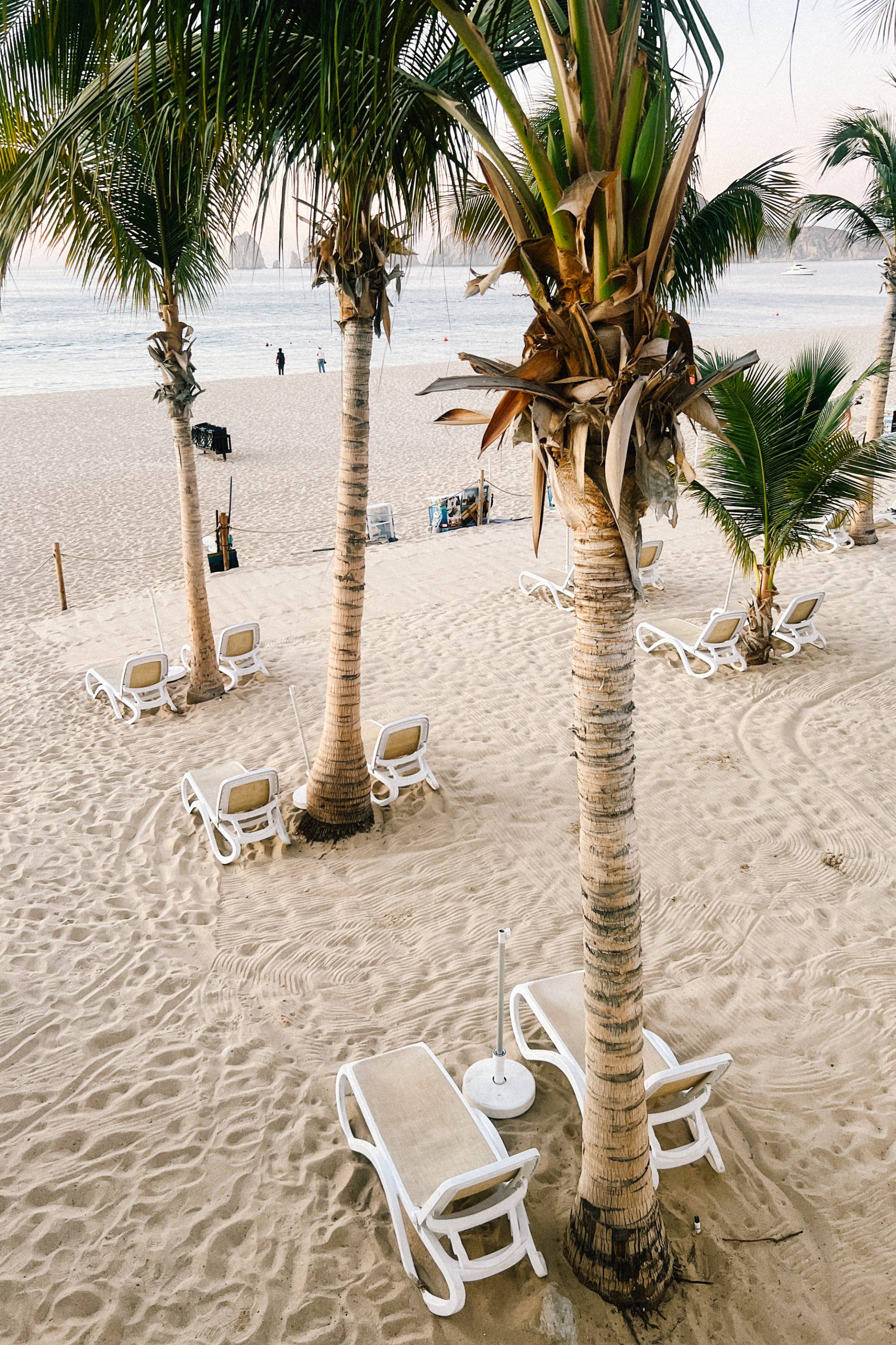 Riu Palace Baja California Review: Is This Cabo Resort Worth It?