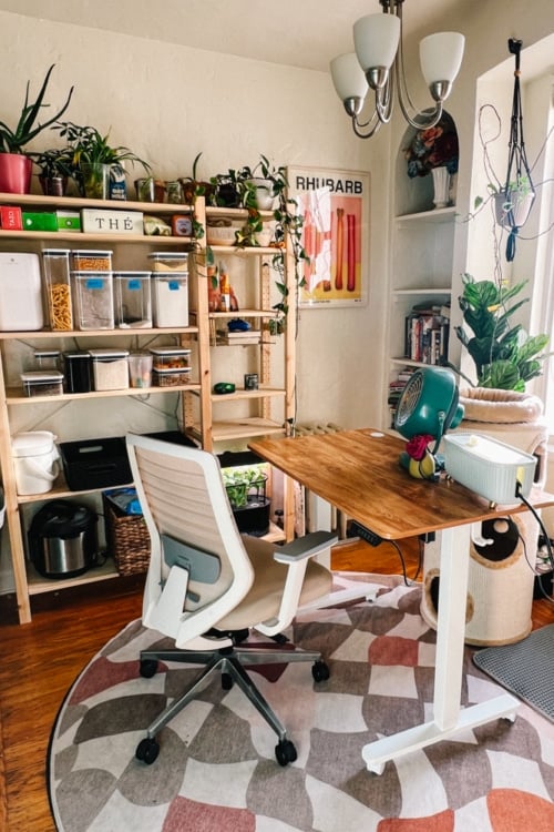 KEA IVAR Shelf Review After 2 Years of Real Life Use