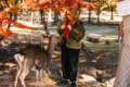 Nara Day Trip From Kyoto or Osaka With Calm Deer Spots Most People Miss