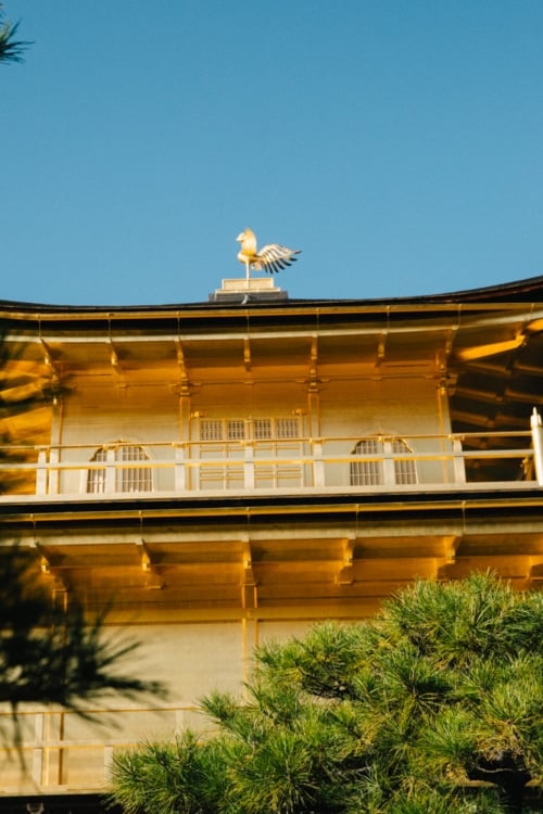 19 Real Places In Japan That Inspired Pokémon Cities, Regions, And Legends