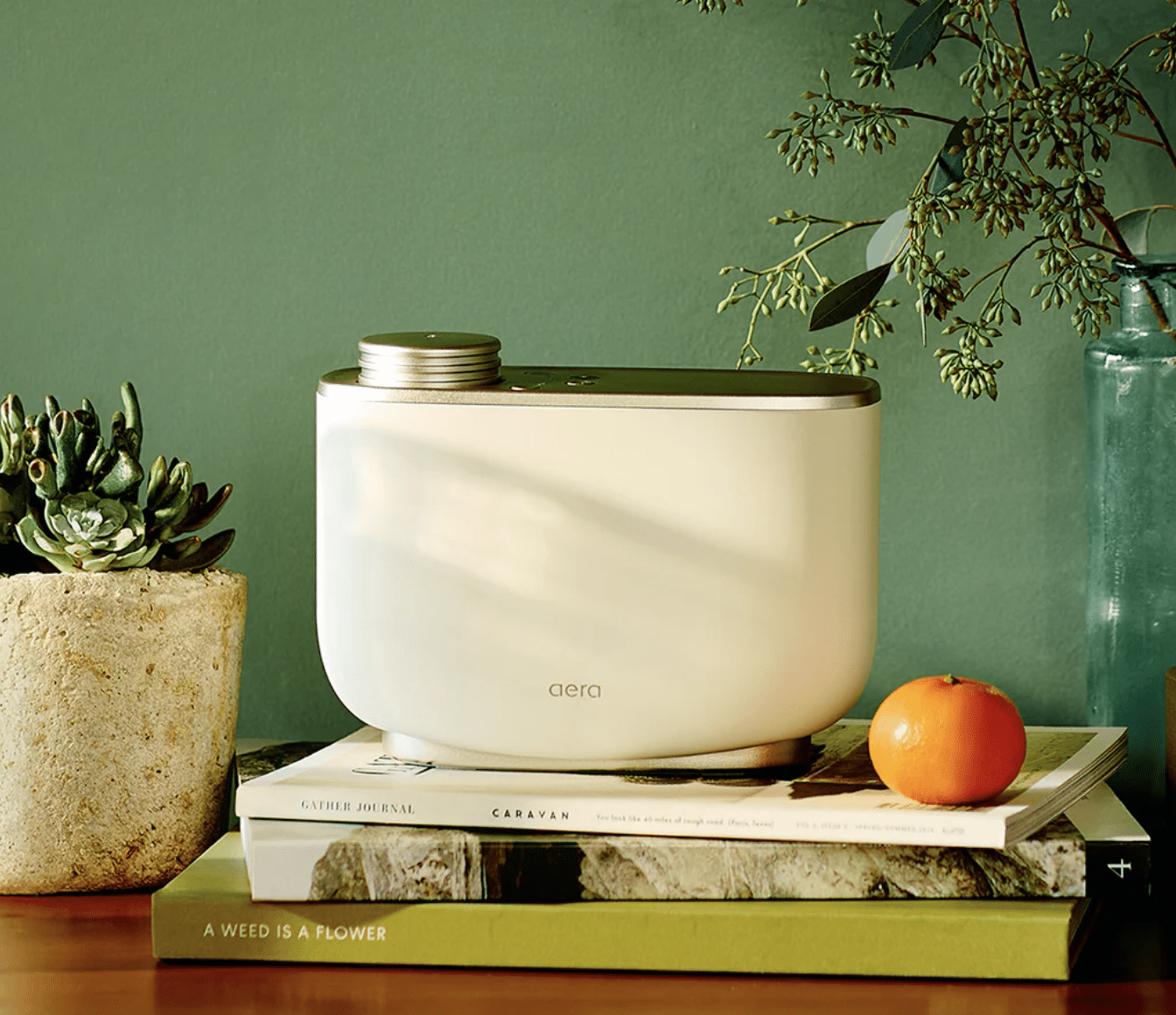 Is The Aera Diffuser Worth It? My Honest Review After One Month